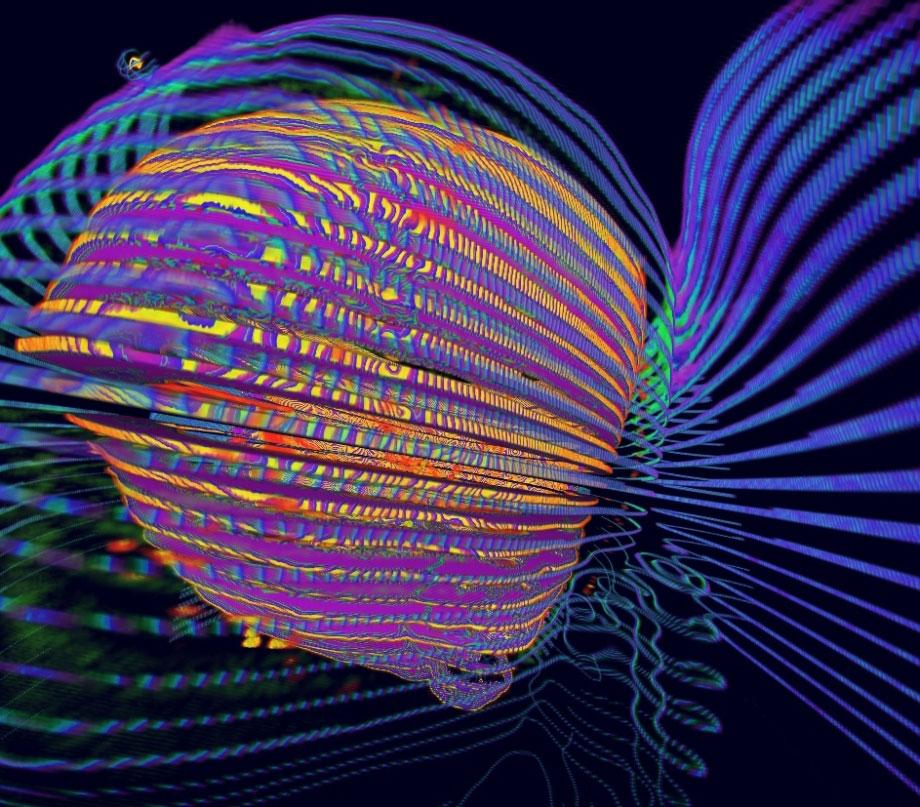 Dr. Kai-hung Fung: Using CT scans of the human body to create fine art ...