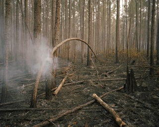 Anna Beeke photographs the Forest Universal in her book, Sylvania.
