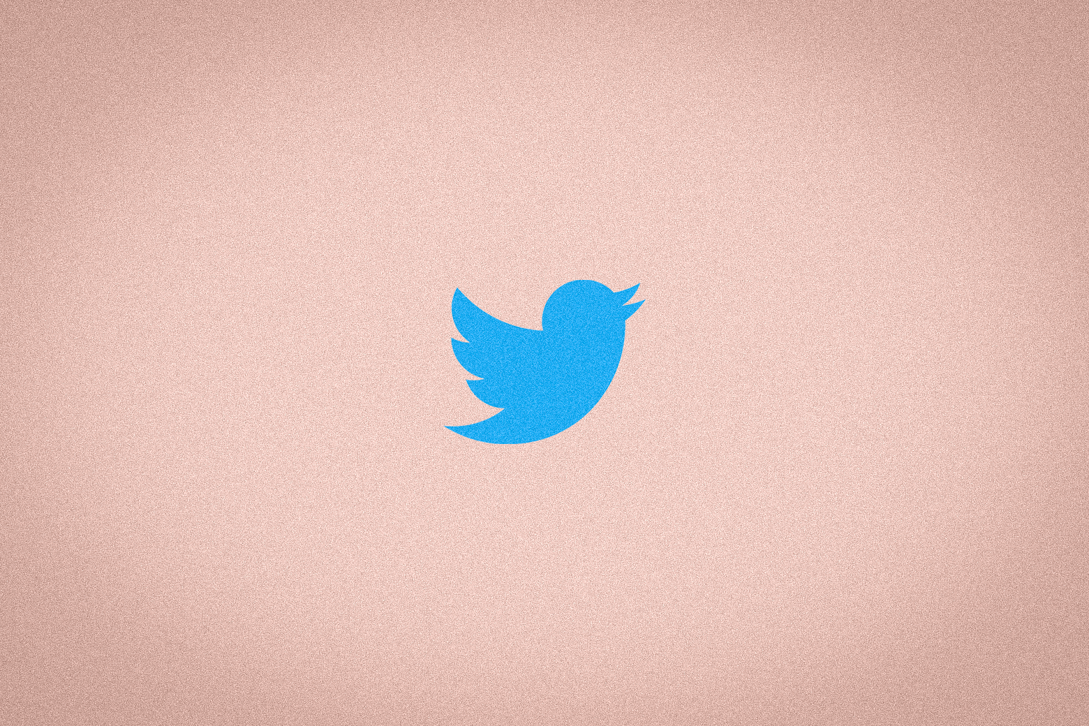 Elon Musk Says Twitter Will Delete Abandoned Accounts Theyre