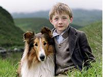 Lassie reviewed.
