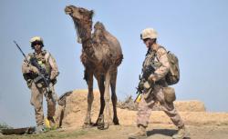 The war in Afghanistan and Harry Tunnell’s Stryker battalion