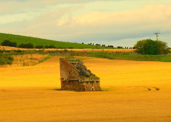 The history of the Dovecote is all about birds and status.