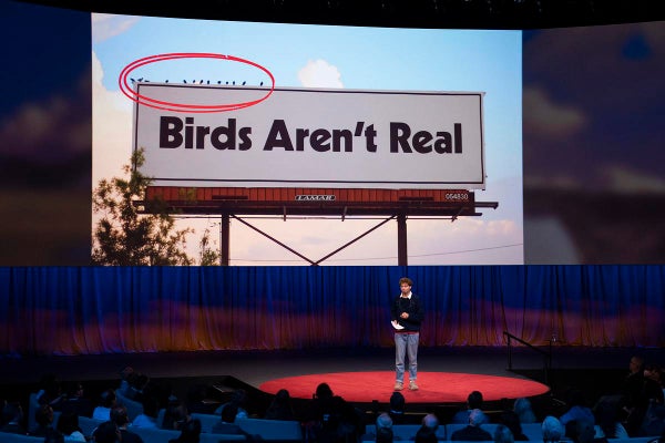 Birds aren’t real: Guess what the kid behind America’s most bizarre ...