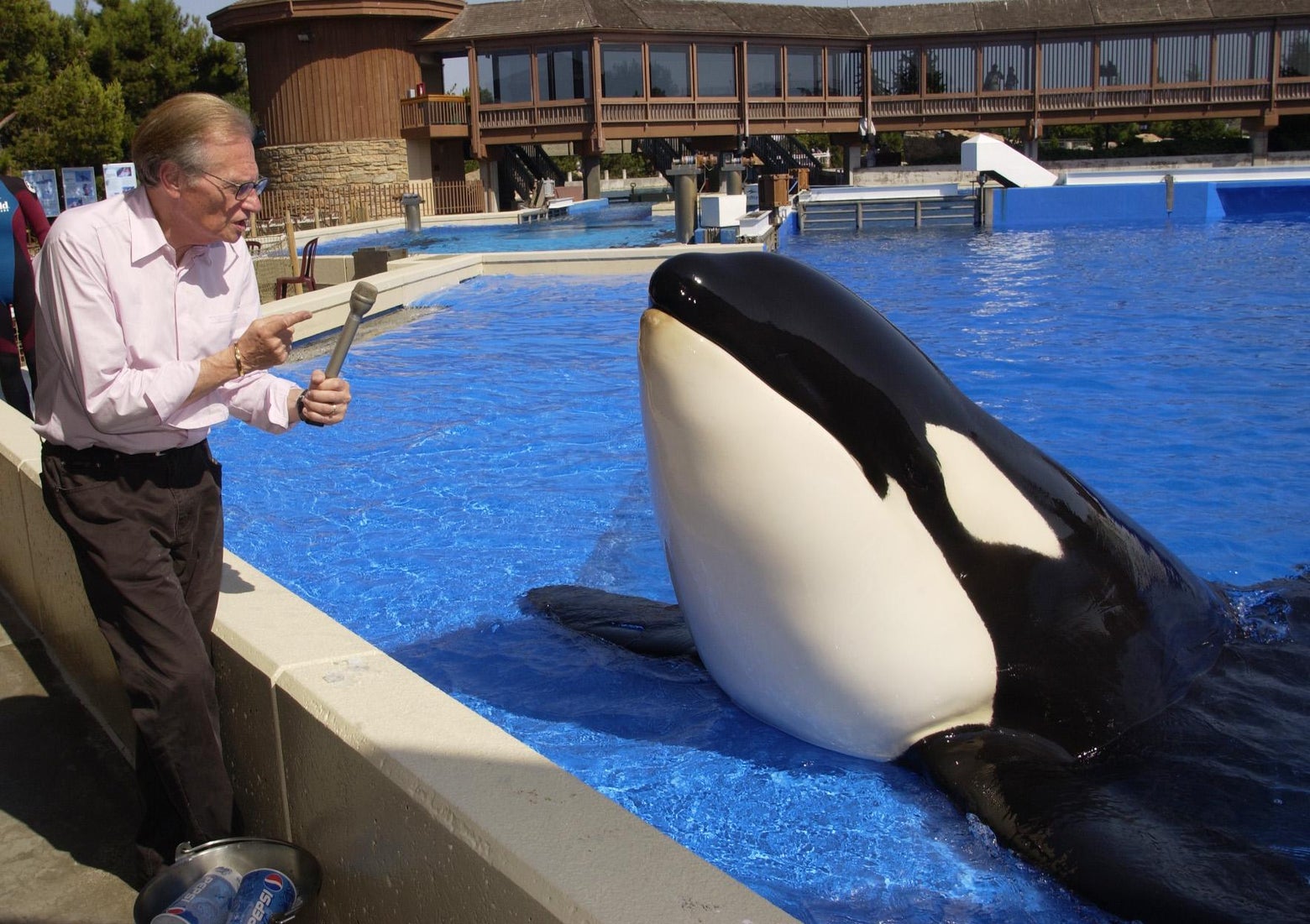 SeaWorld orca research: Importance of captive killer whale studies was exaggerated.