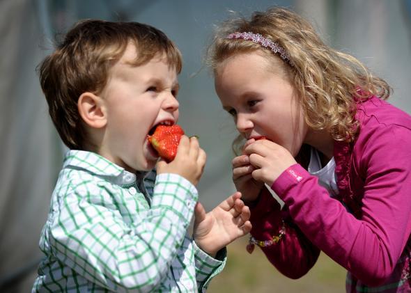 In search of genetic perfection: How genetics could revolutionize our ...