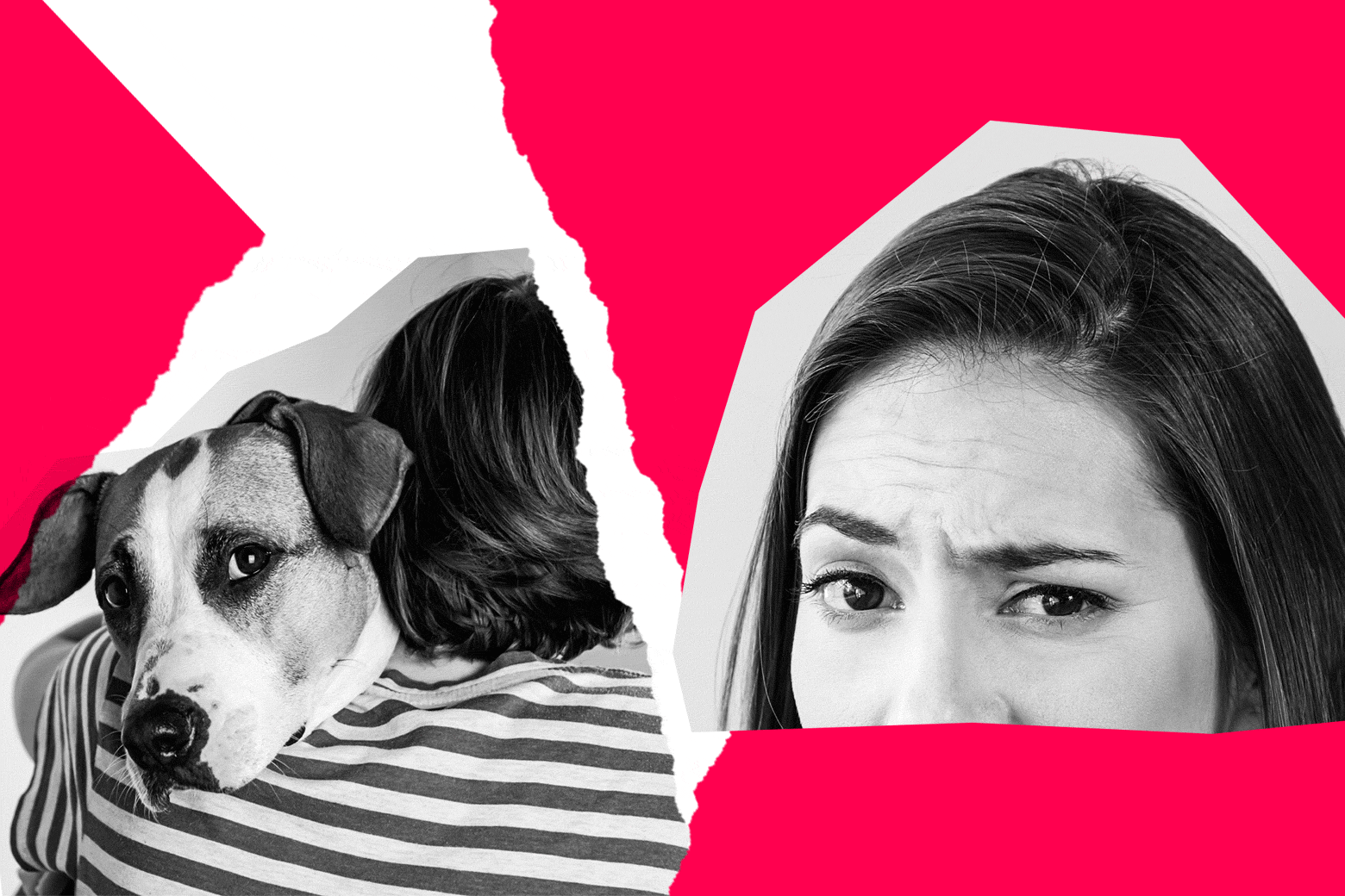 Dining out with a fake service animal, and more advice from Dear Prudence.