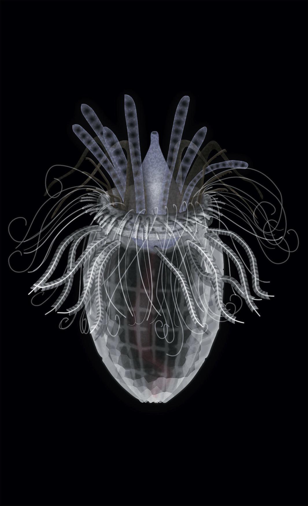 Ross Piper’s book, Animal Earth, highlights Earth’s biological diversity.