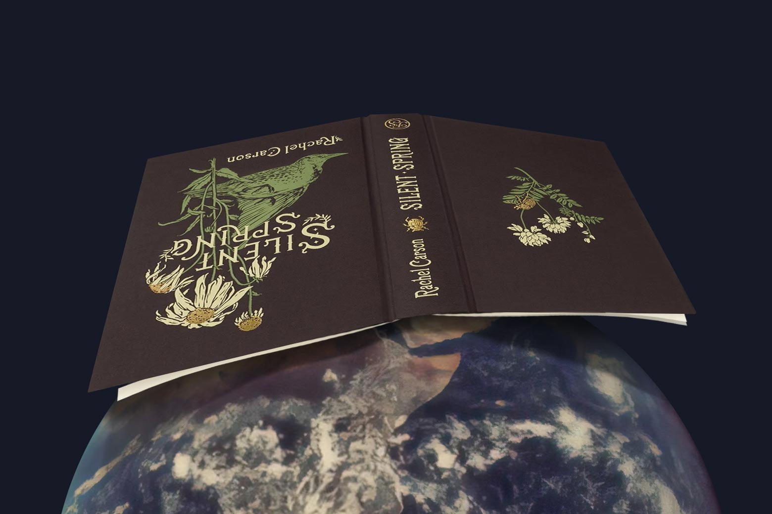 How Silent Spring by Rachel Carson created the environmental movement ...