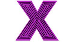 Your Guide to Double X