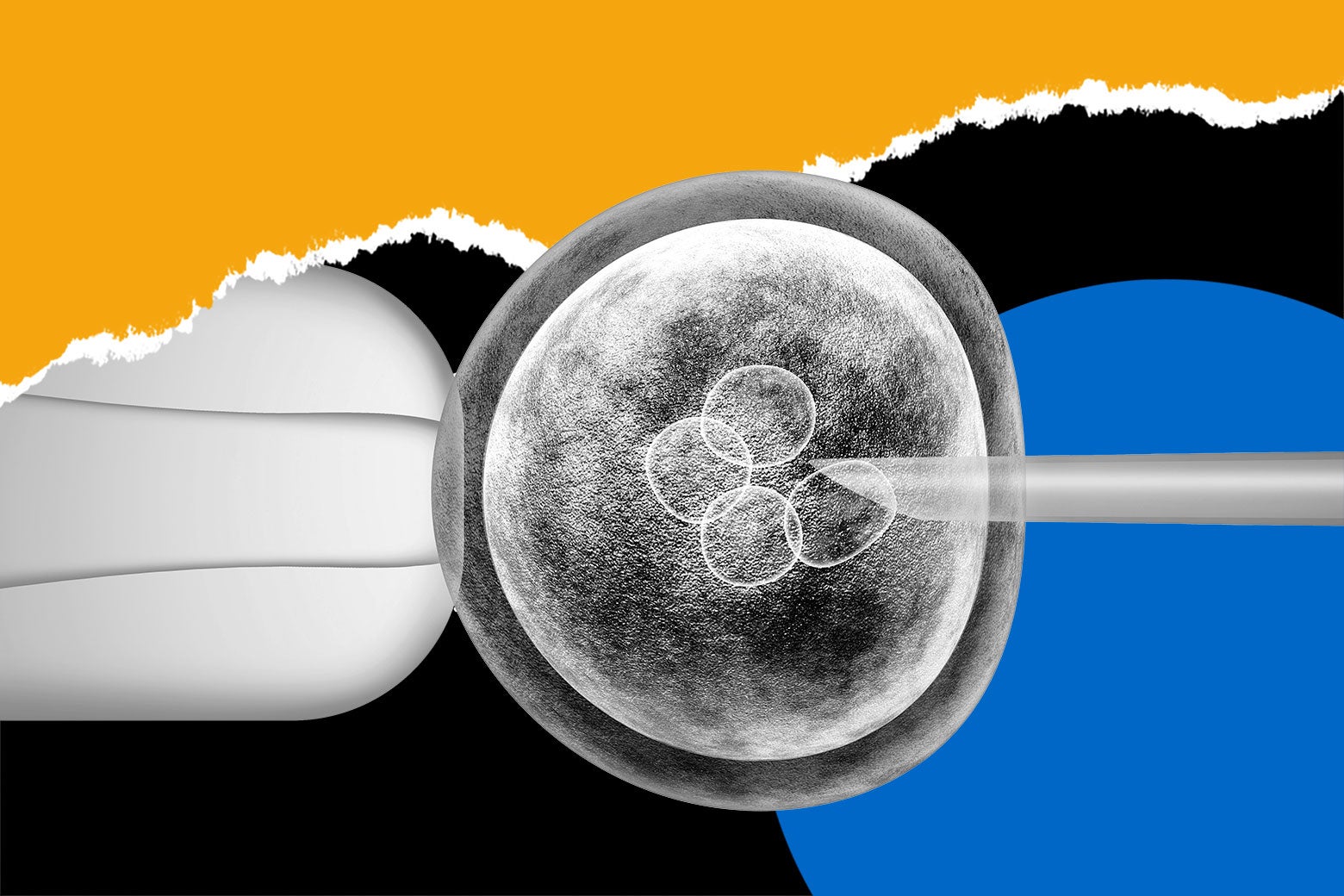 Cheyna Roth - Journalist Profile - Intelligent Relations