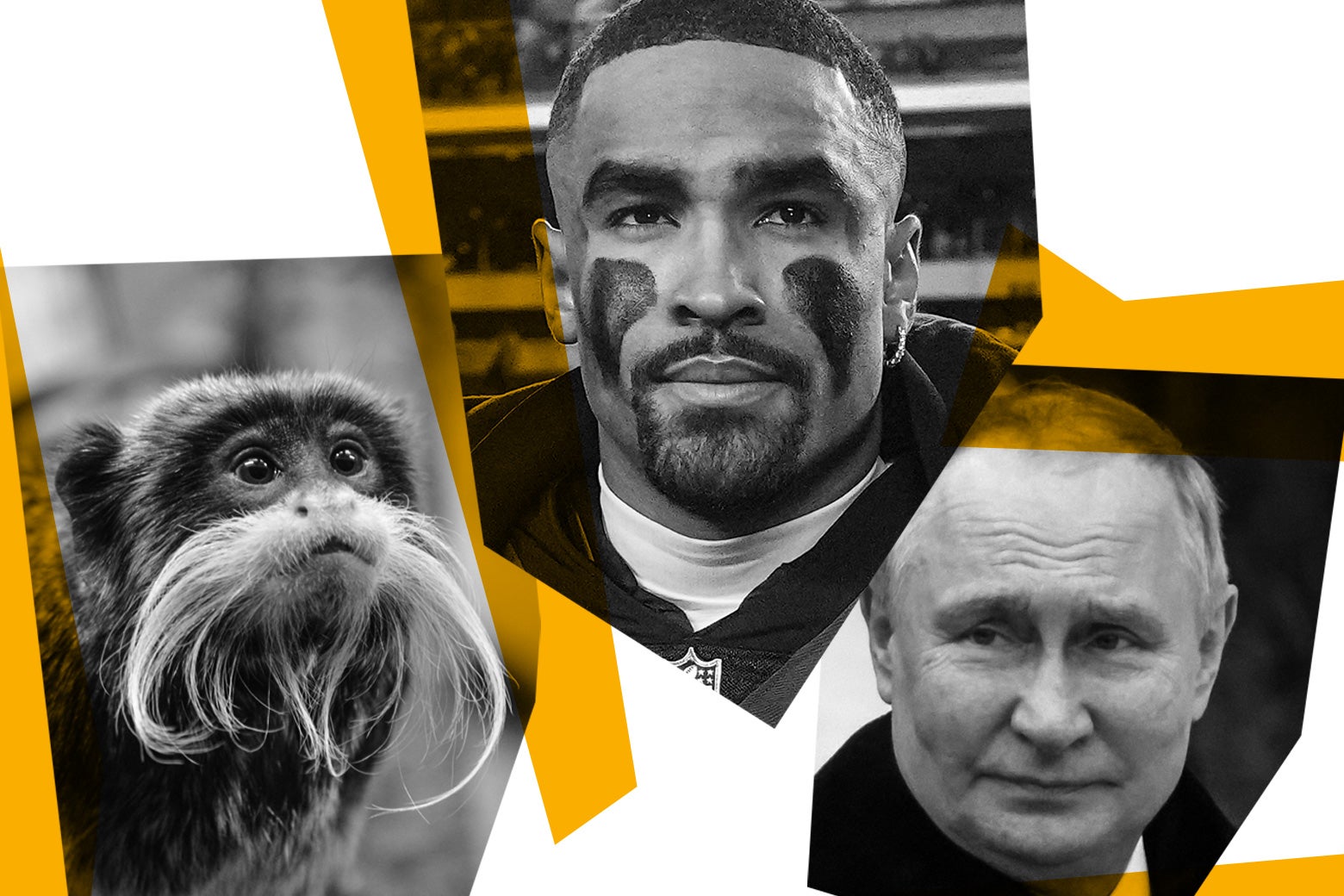 Slate News Quiz: Tyre Nichols, tamarin monkeys, Tom Verlaine.