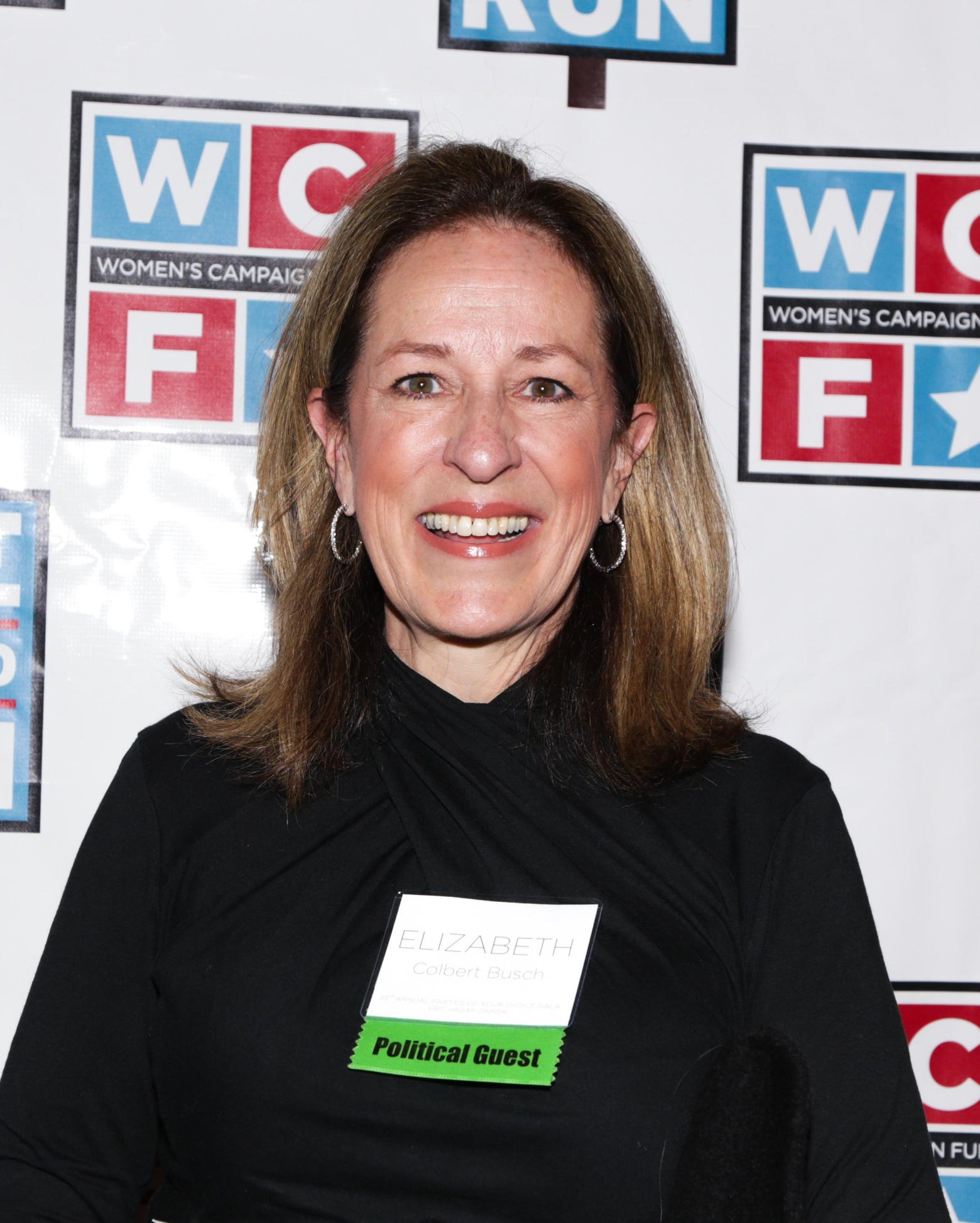 Elizabeth Colbert-Busch-Mark Sanford Debate: Democratic candidate ...