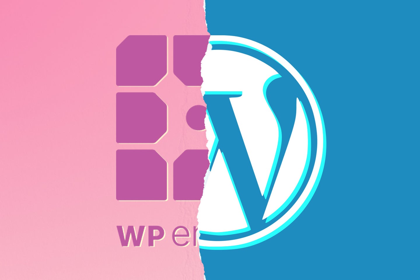 WordPress: How Matt Mullenweg’s public spat with WP Engine is threatening the open-source internet.
