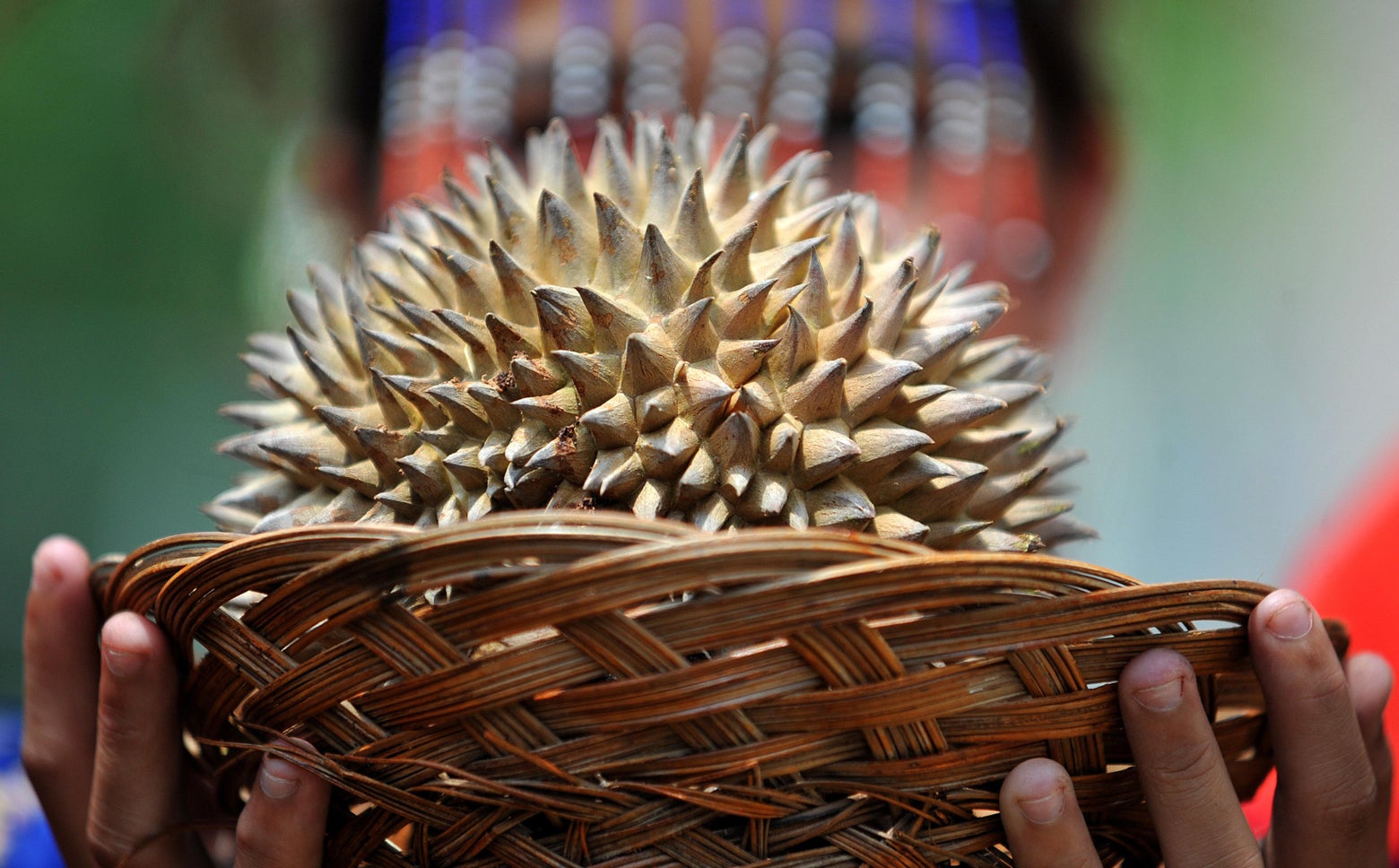 Weird foods: What would be your weapon of choice in a food fight to the ...