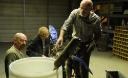 Breaking Bad recap: “Buyout.”