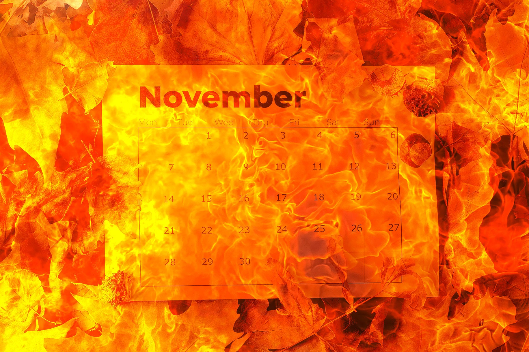 Culture war and the evangelical church: Doug Wilson’s “No Quarter ...