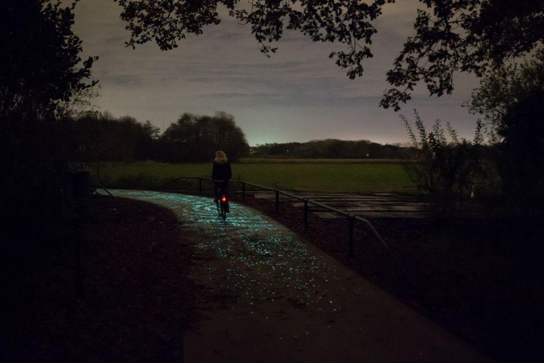 Van Gogh-Roosegaarde bike path based on Van Gogh's Starry Night glows ...