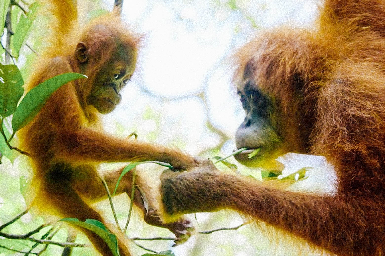 Our Planet, the U.N. climate change report, and why fear of the future ...