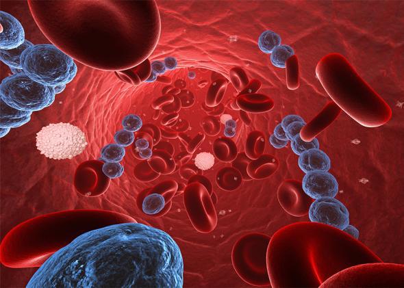 Evolution of a bacteria: How a previously benign bacteria became deadly.