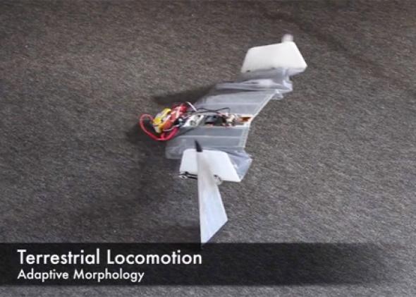 Swiss researchers created the DALER (Deployable Air-Land Exploration ...