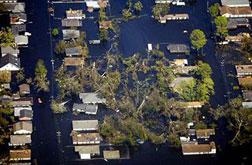 The ecological impact of Hurricane Katrina, five years later.