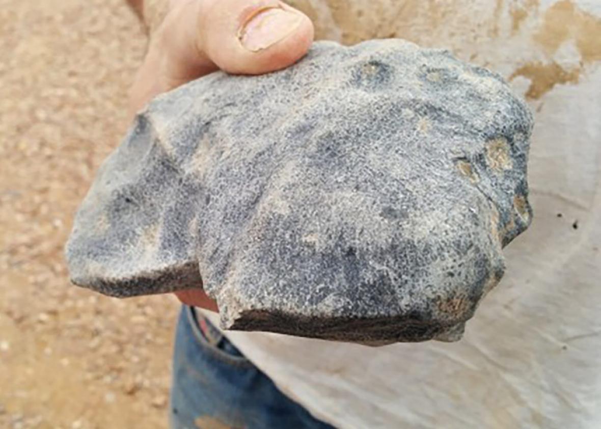 Australia meteorite might be older than Earth (VIDEO).