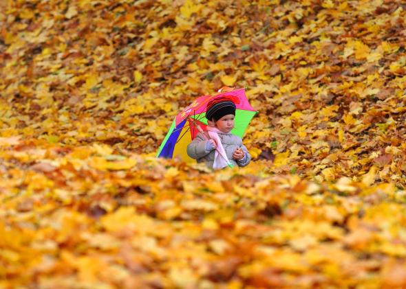 Why does autumn have two names? How the third season became both ...