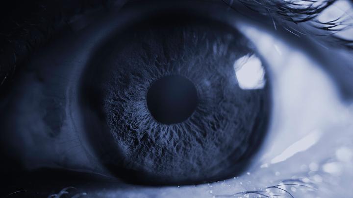 People seeing the dark: Study shows we can follow our own hand in the dark.