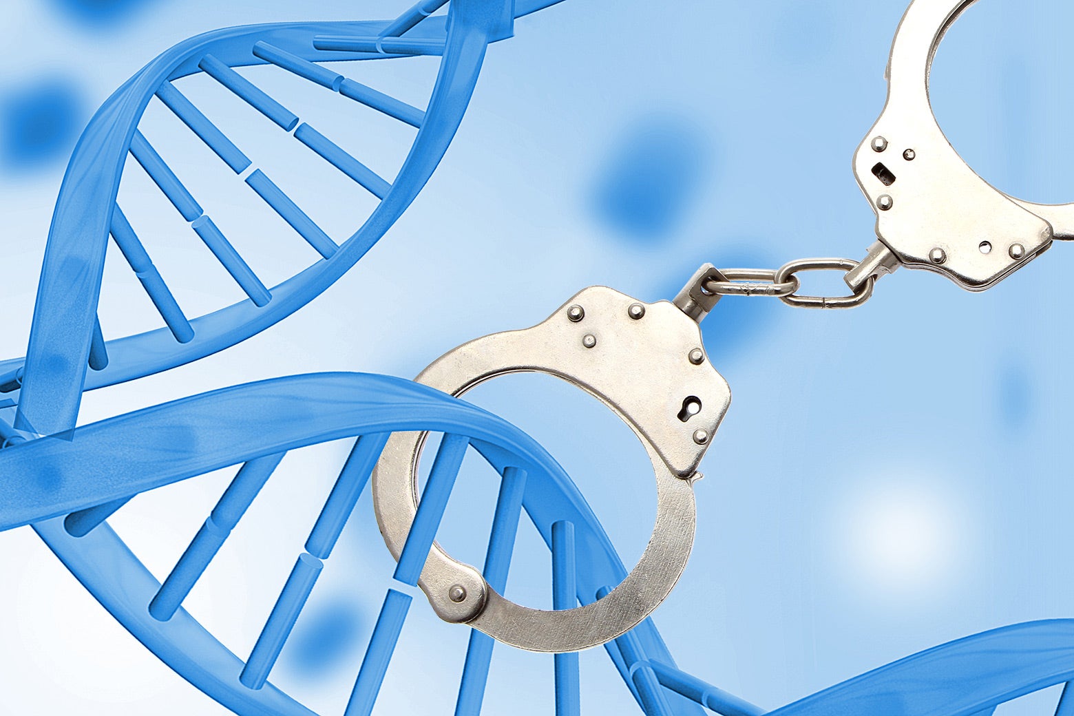 FamilyTreeDNA: DNA testing companies could share your DNA with law ...