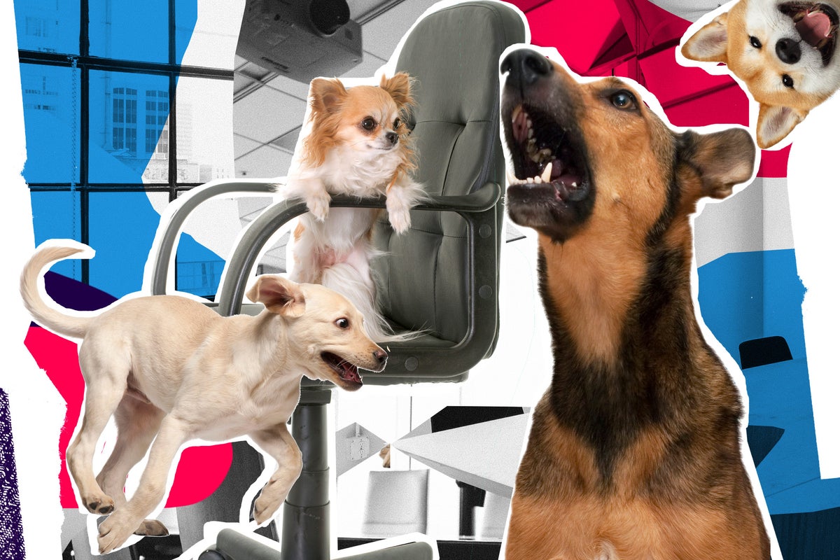 What Companies Allow Dogs At Work what-companies-allow-dogs-at-work