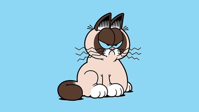 Grumpy cat movie: Meme will become a talking cat in new Garfield-like ...