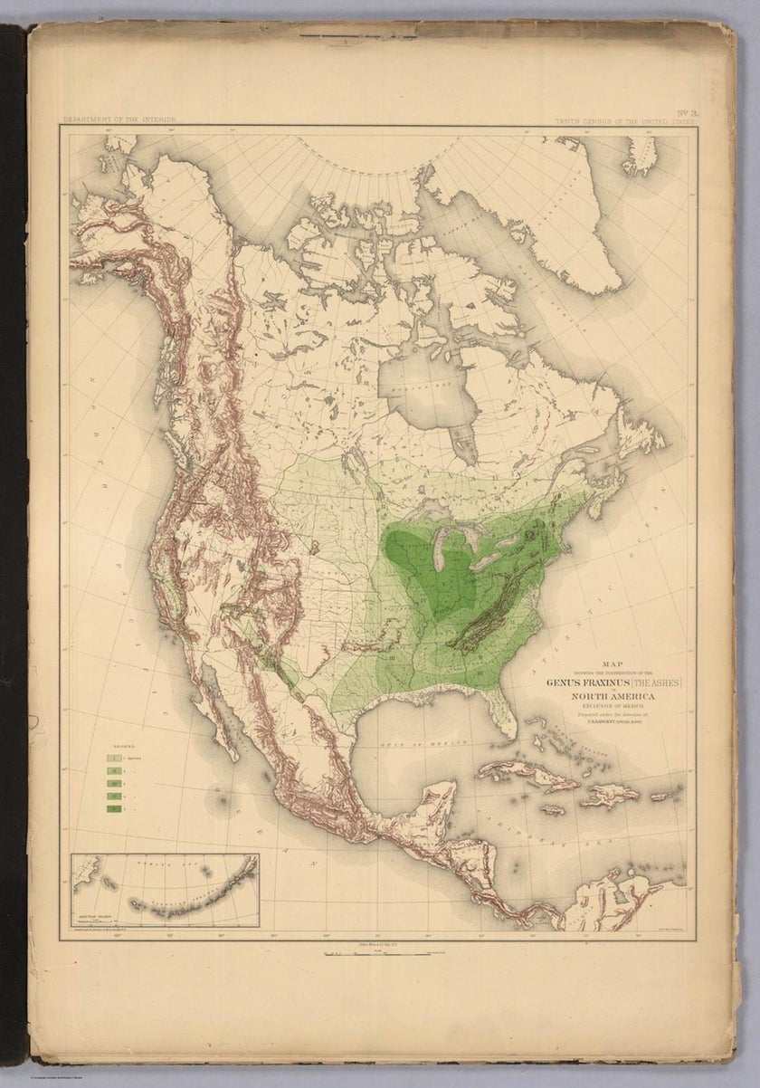 History of American Forests: Tree maps made for 1884 census.