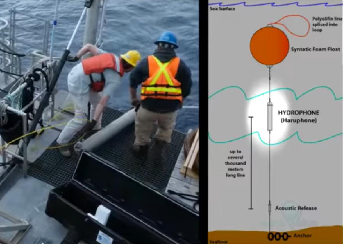 NOAA’s two-year mission to listen to deep-sea sounds pollution off ...