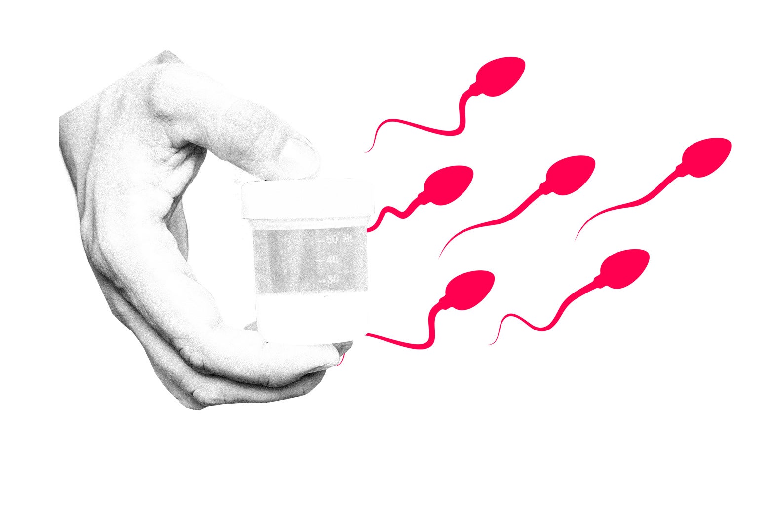 This Woman’s Son Believes His Genetics Are a “Top-Tier" Gift to Women