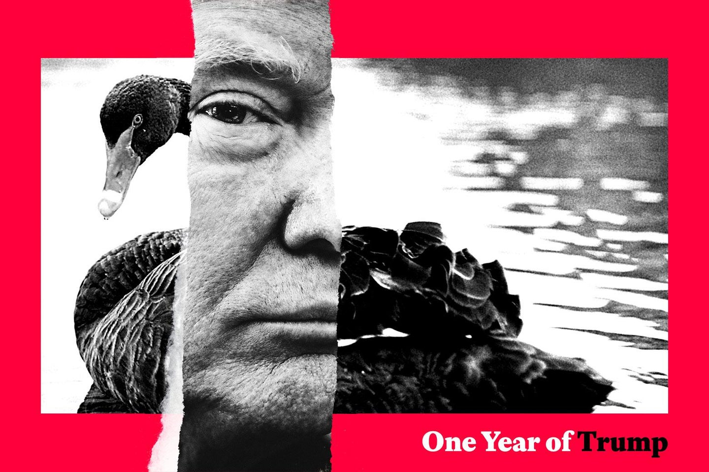 We haven’t normalized Trump, we’ve just gotten used to him. That may be ...