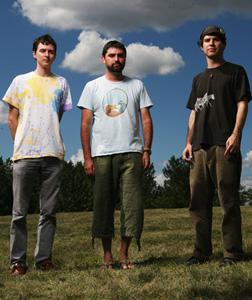 How Animal Collective became the biggest indie act of the year.