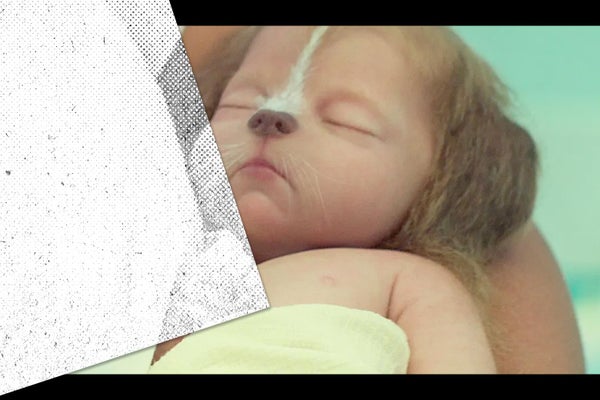 Sweet Tooth: Here’s how the new Netflix adaptation differs from Jeff ...