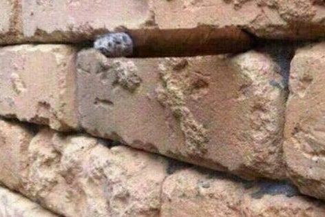 Sometimes a cigar isn't just a cigar.