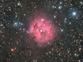 Cocoon Nebula: Gorgeous astrophoto.