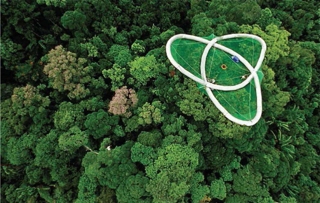 Air Structures by William McLean and Pete Silver surveys incredible ...