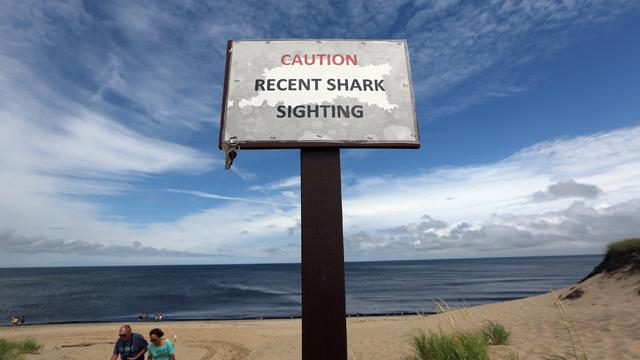 Cape Cod shark tracker: OCEARCH tool allows people to track great ...