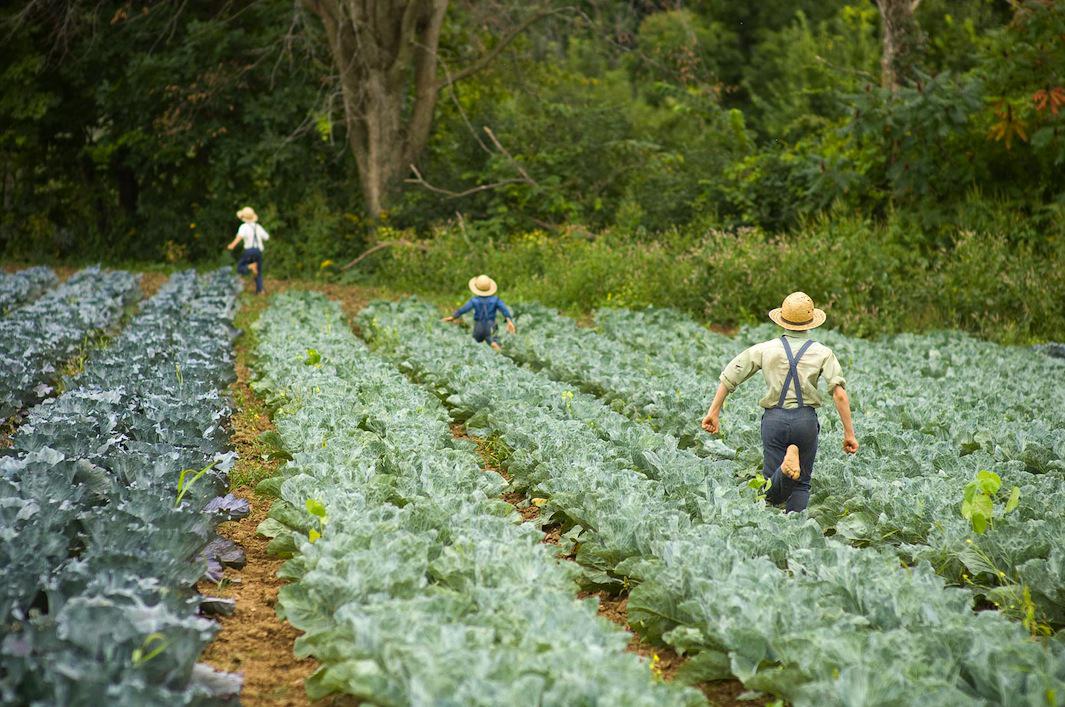 David Nevala photographs children on an Amish farm in Wisconsin.