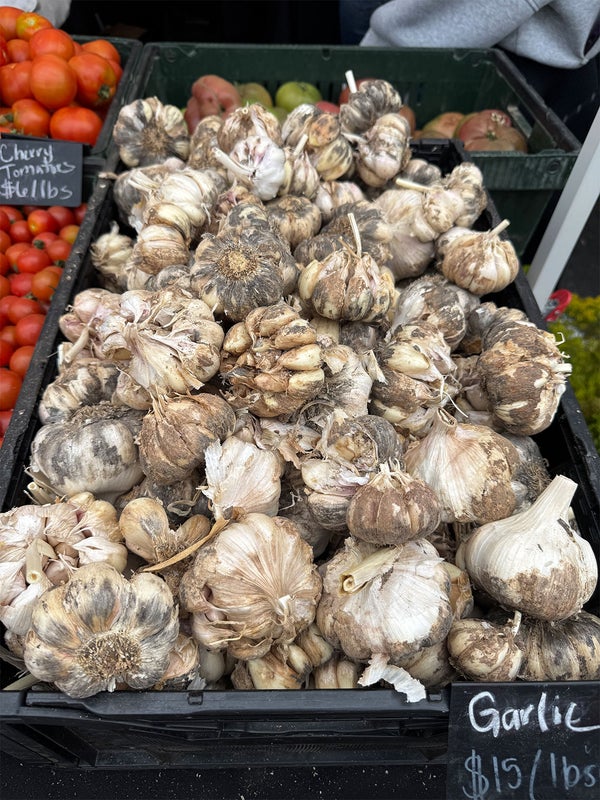 Recipes are treating garlic all wrong. Here’s how to fix them.