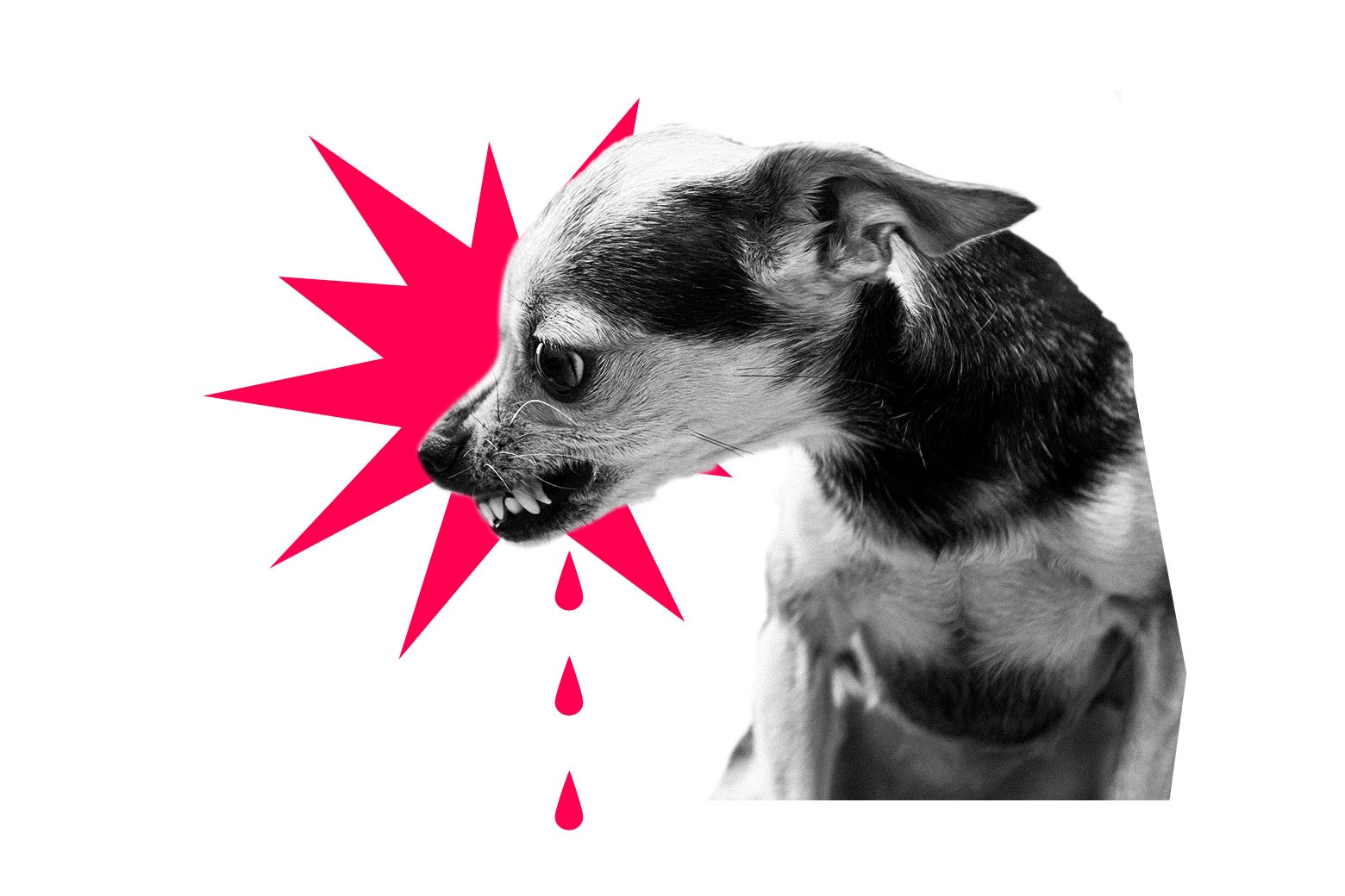 Dear Prudence: My mother really wants to babysit my child. But an evil ...