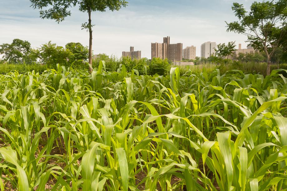 Liminal spaces: Photographs of areas where city meets nature.