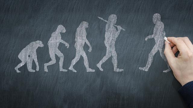 Do nice guys really finish last? Study says evolution favors the unselfish.