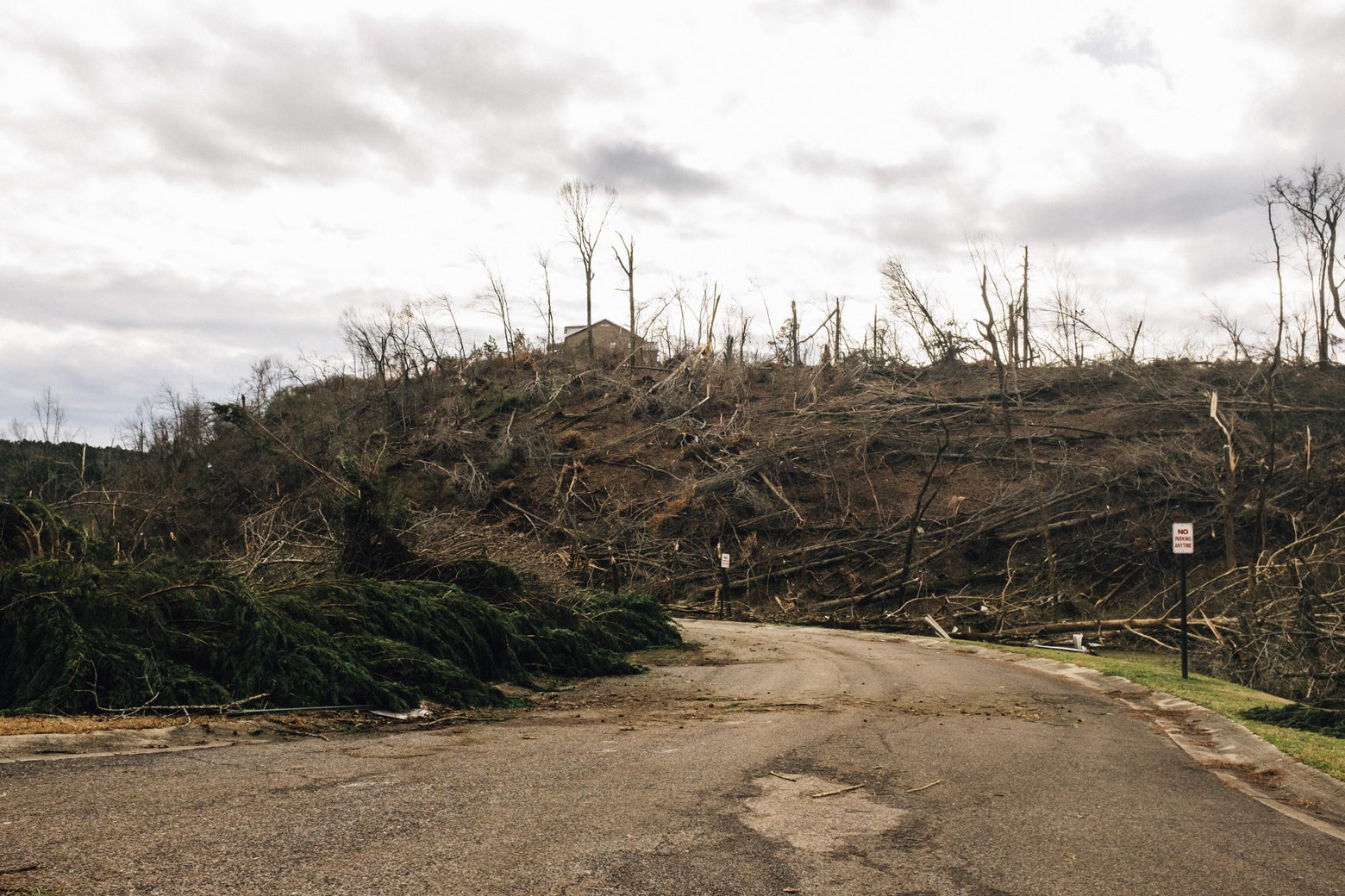 This week in disasters: fireworks, tornadoes, and some beef.