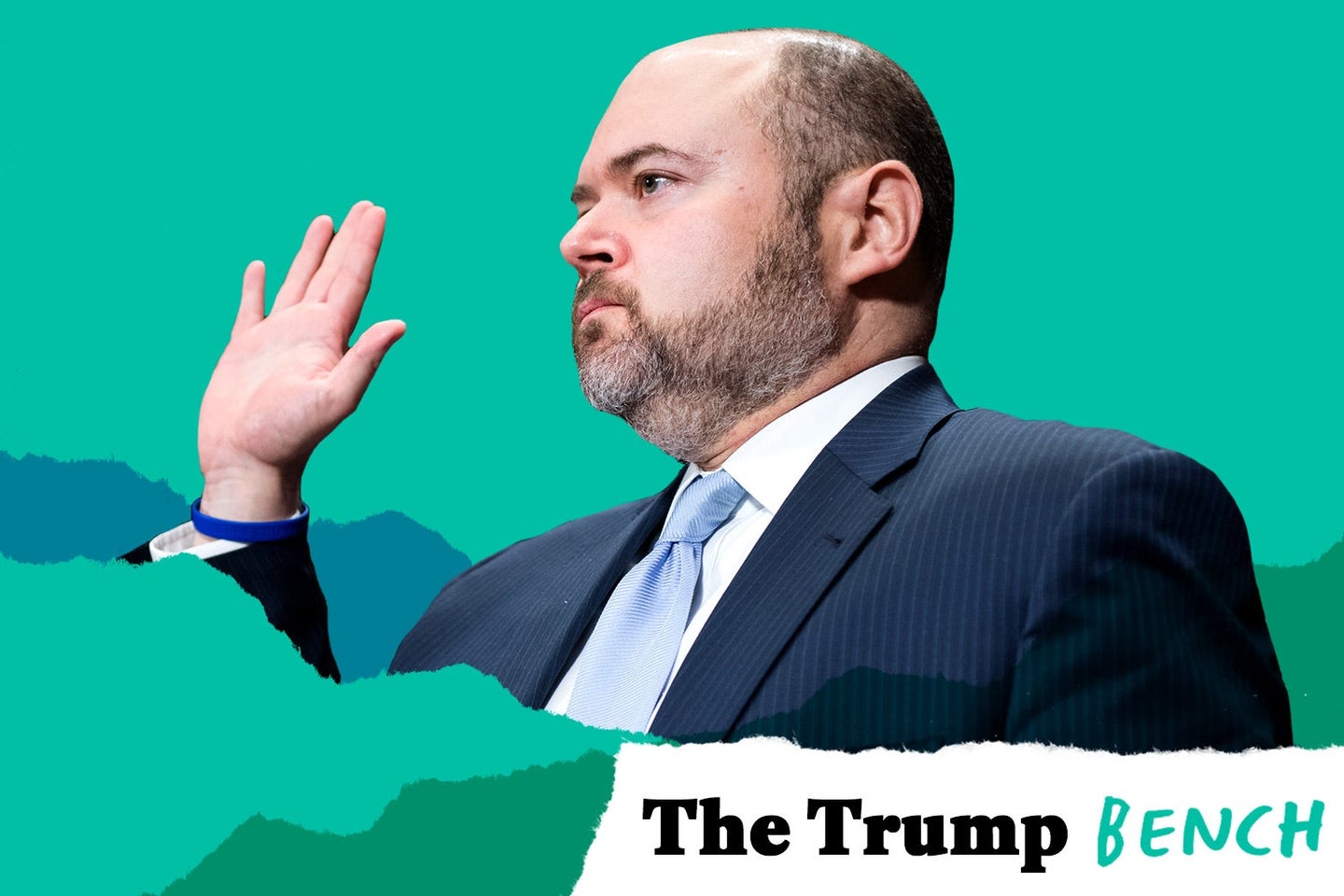 The Trump Bench: David Stras.