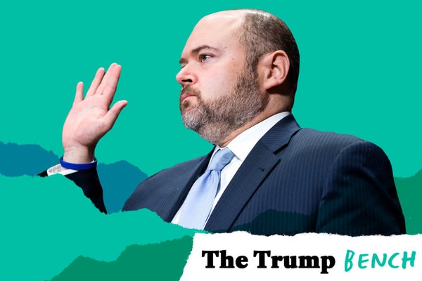 The Trump Bench: David Stras.
