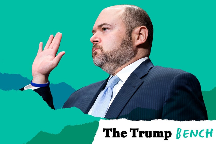 The Trump Bench: David Stras.